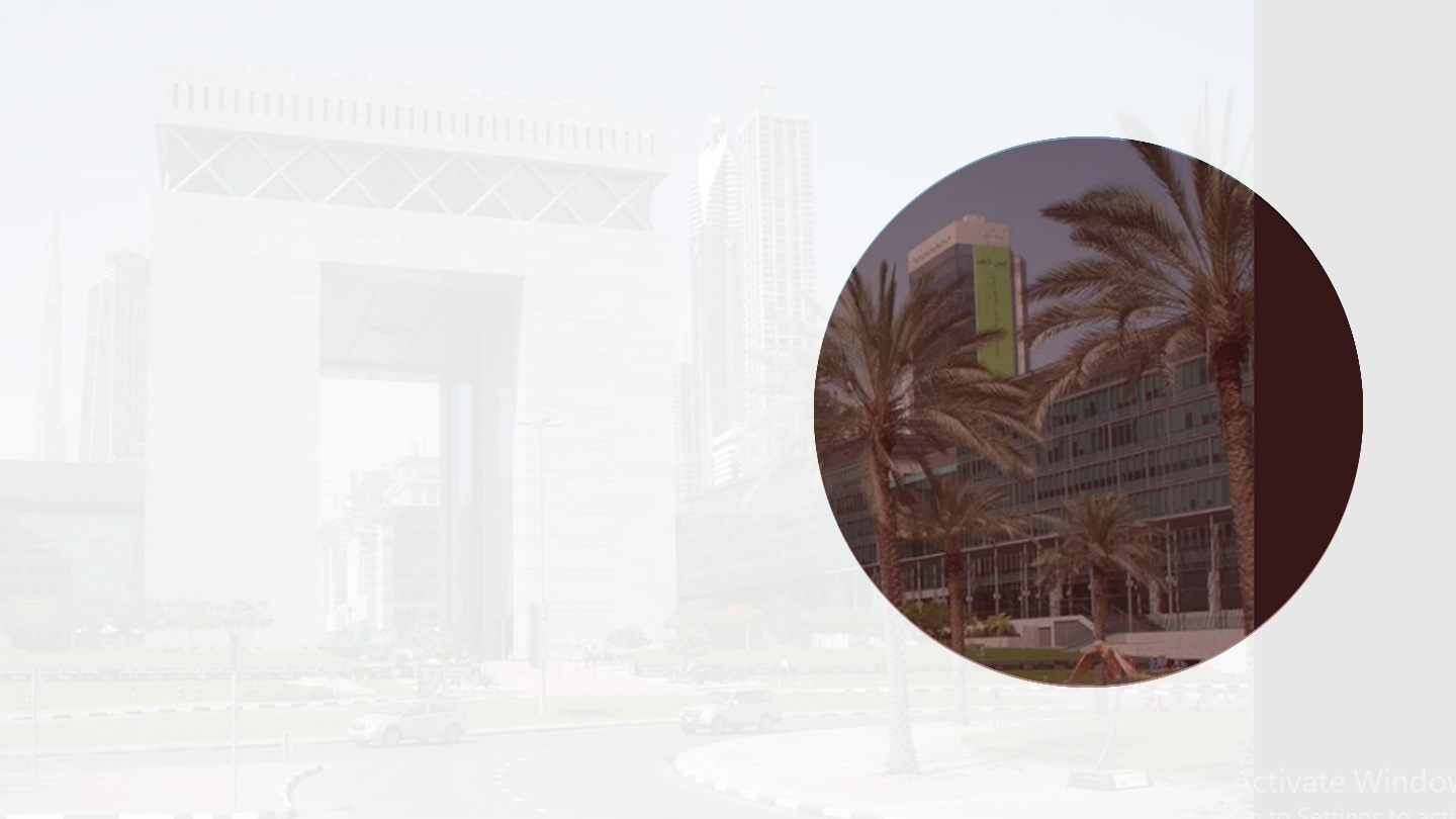 Accounting And Finance Function Advisory Services Dubai Uae