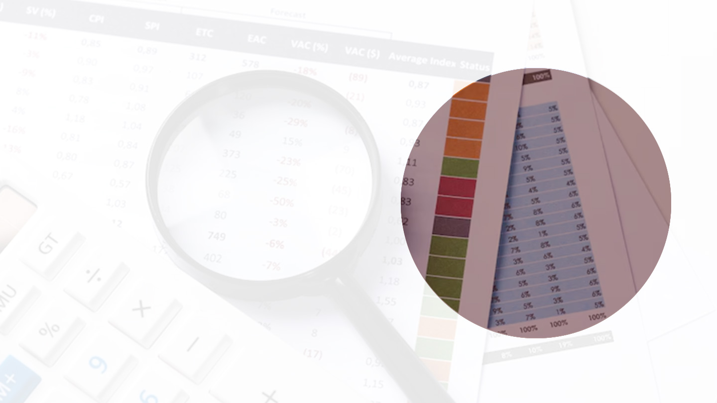 What is a DMCC audit?